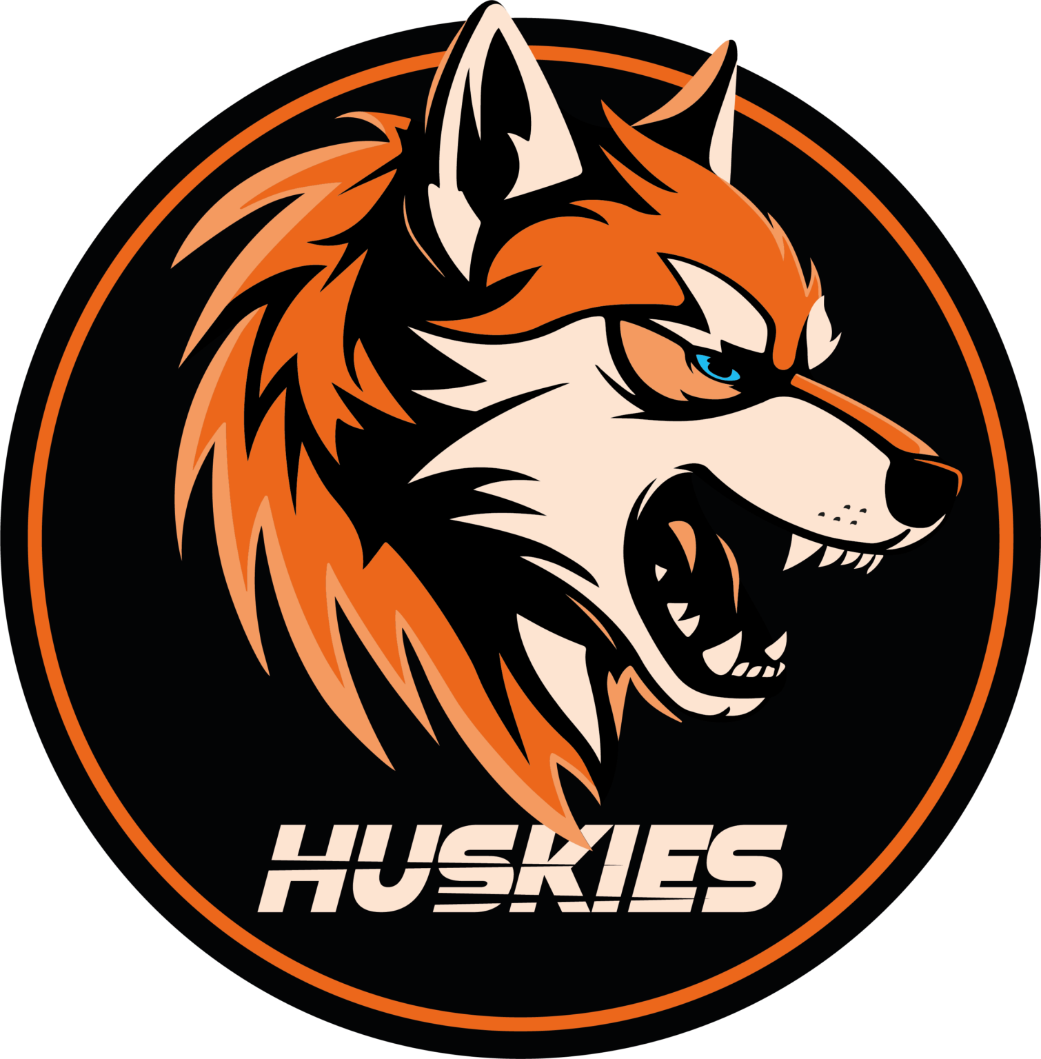 Graz99ers Huskies – Fraueneishockey in Graz